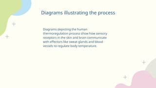 Homeostasis and temperature regulation in humans.pptx