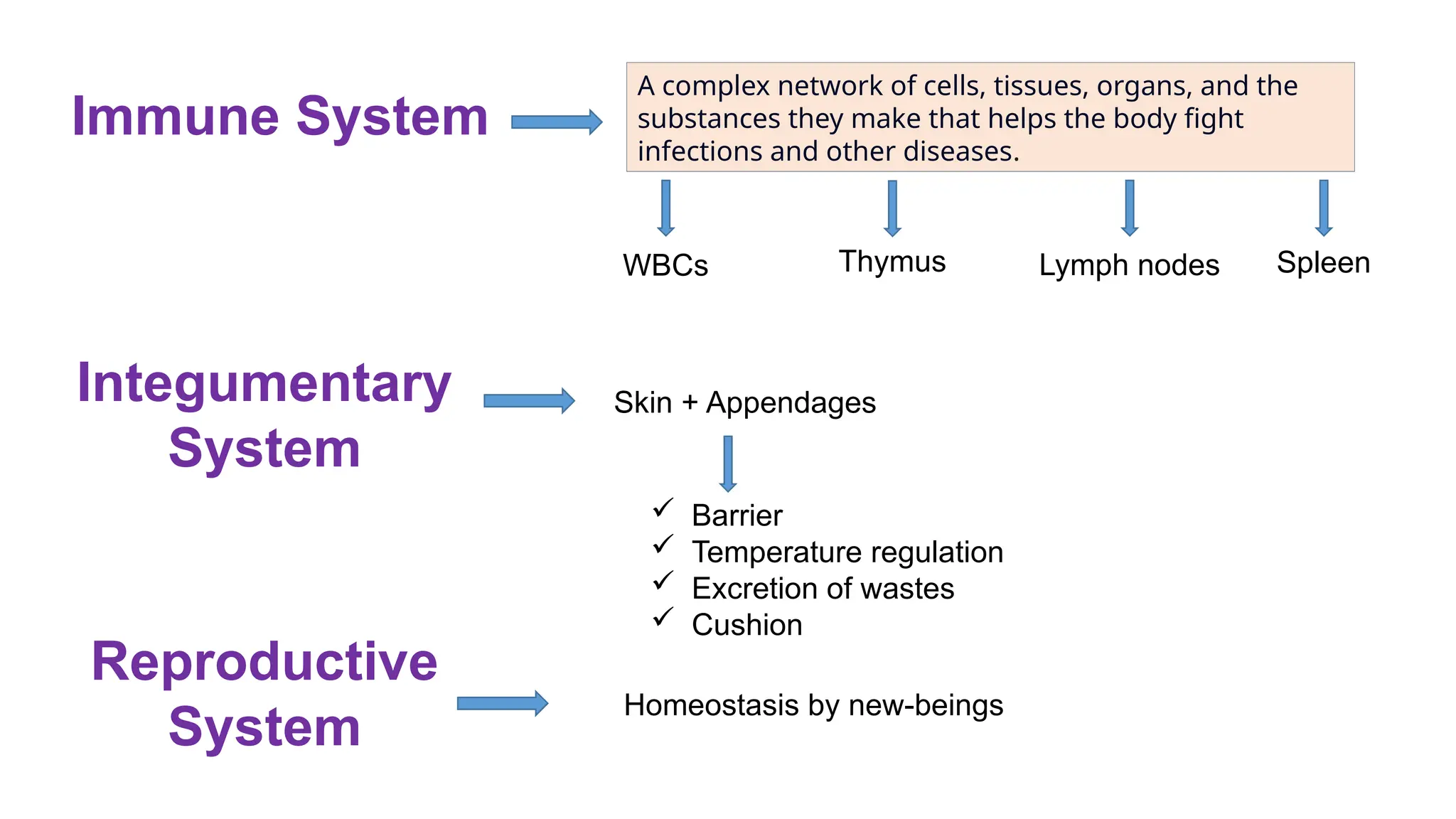 Introduction, Significance and Examples of Homeostasis | PPTX