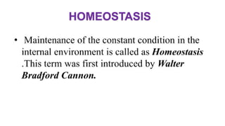 Introduction, Significance and Examples of Homeostasis | PPT