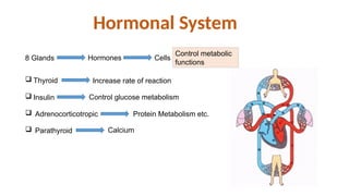 Introduction, Significance and Examples of Homeostasis | PPTX