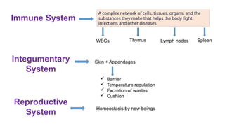 Introduction, Significance and Examples of Homeostasis | PPT