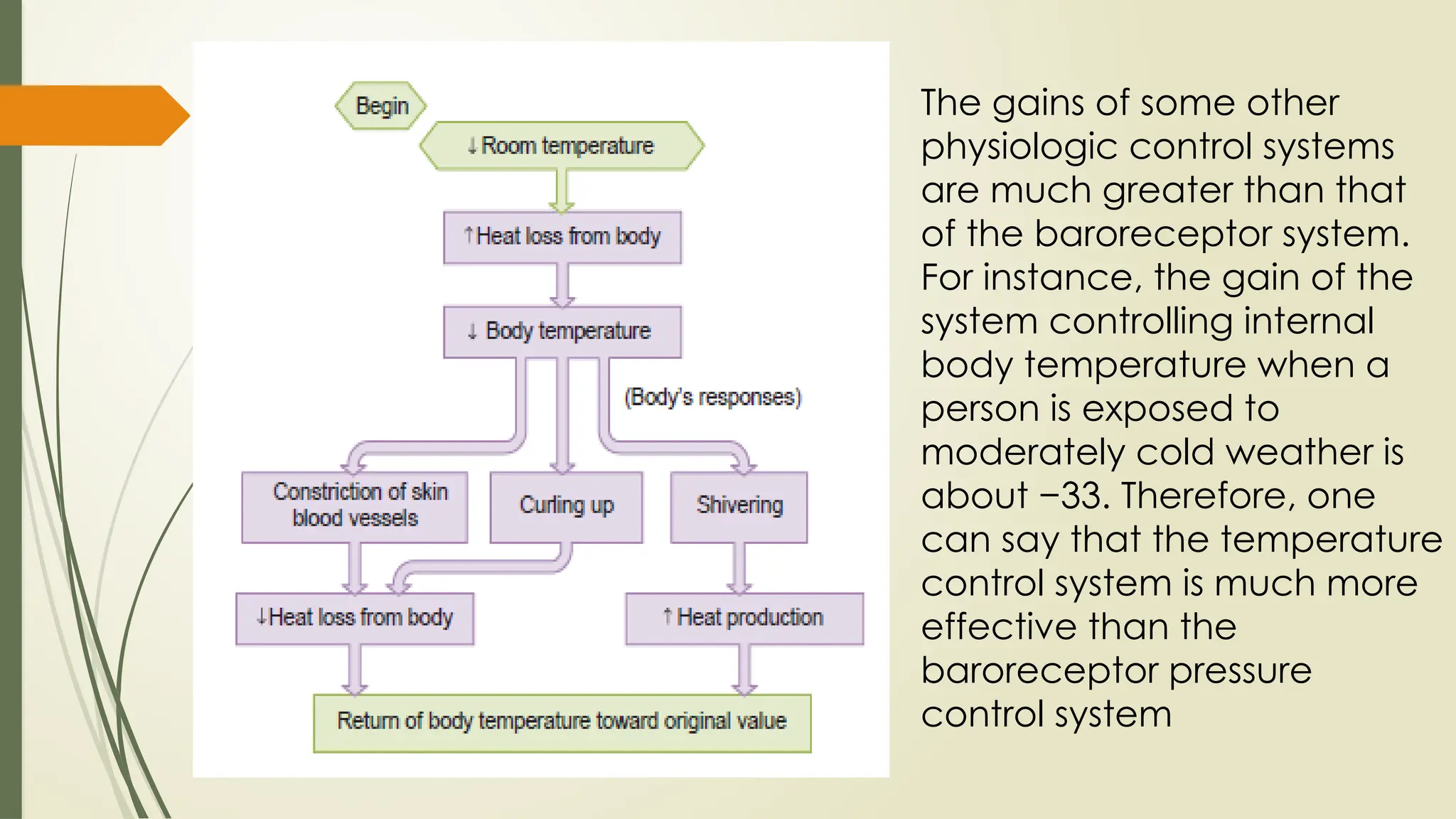 Homeostasis general physiology elaborate | PPTX