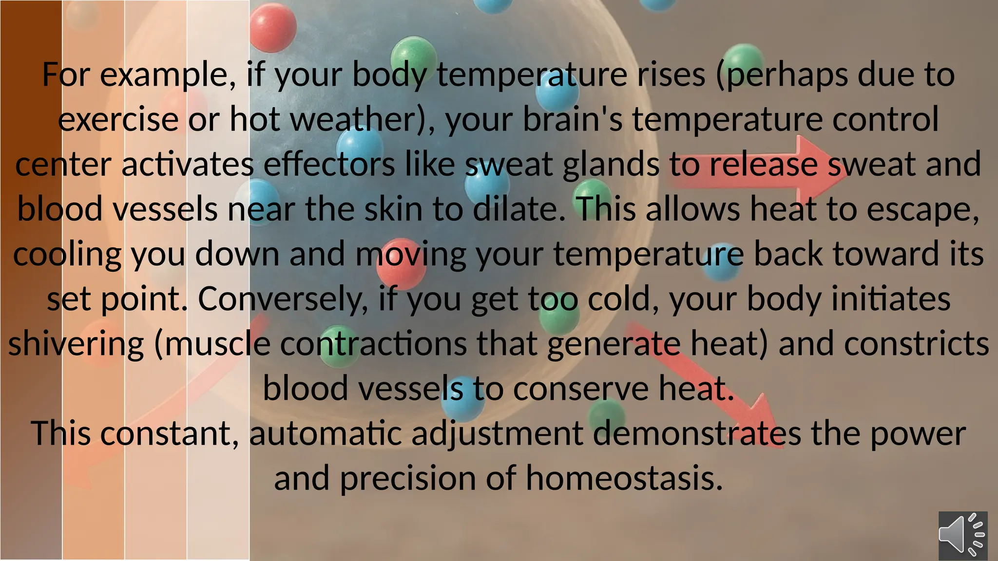 homeostasis.pptx for Medical students human physiology 1 | PPTX