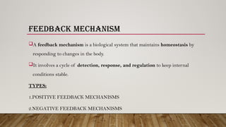 Homeostasis and feedback mechanism with their types-B.Pharmacy 1st year ...