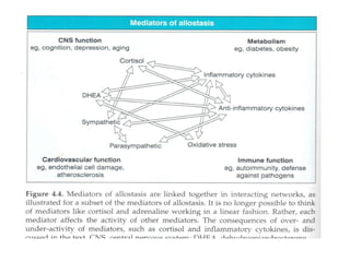 HOMEOSTASIS -lecture (human biology).ppt