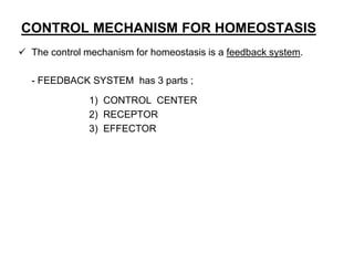 HOMEOSTASIS -lecture (human biology).ppt