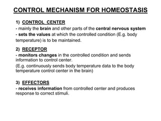 HOMEOSTASIS -lecture (human biology).ppt