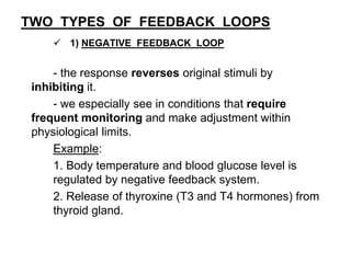HOMEOSTASIS -lecture (human biology).ppt