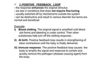 HOMEOSTASIS -lecture (human biology).ppt