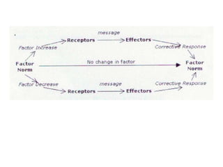 HOMEOSTASIS -lecture (human biology).ppt
