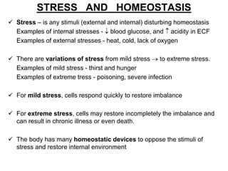 HOMEOSTASIS -lecture (human biology).ppt