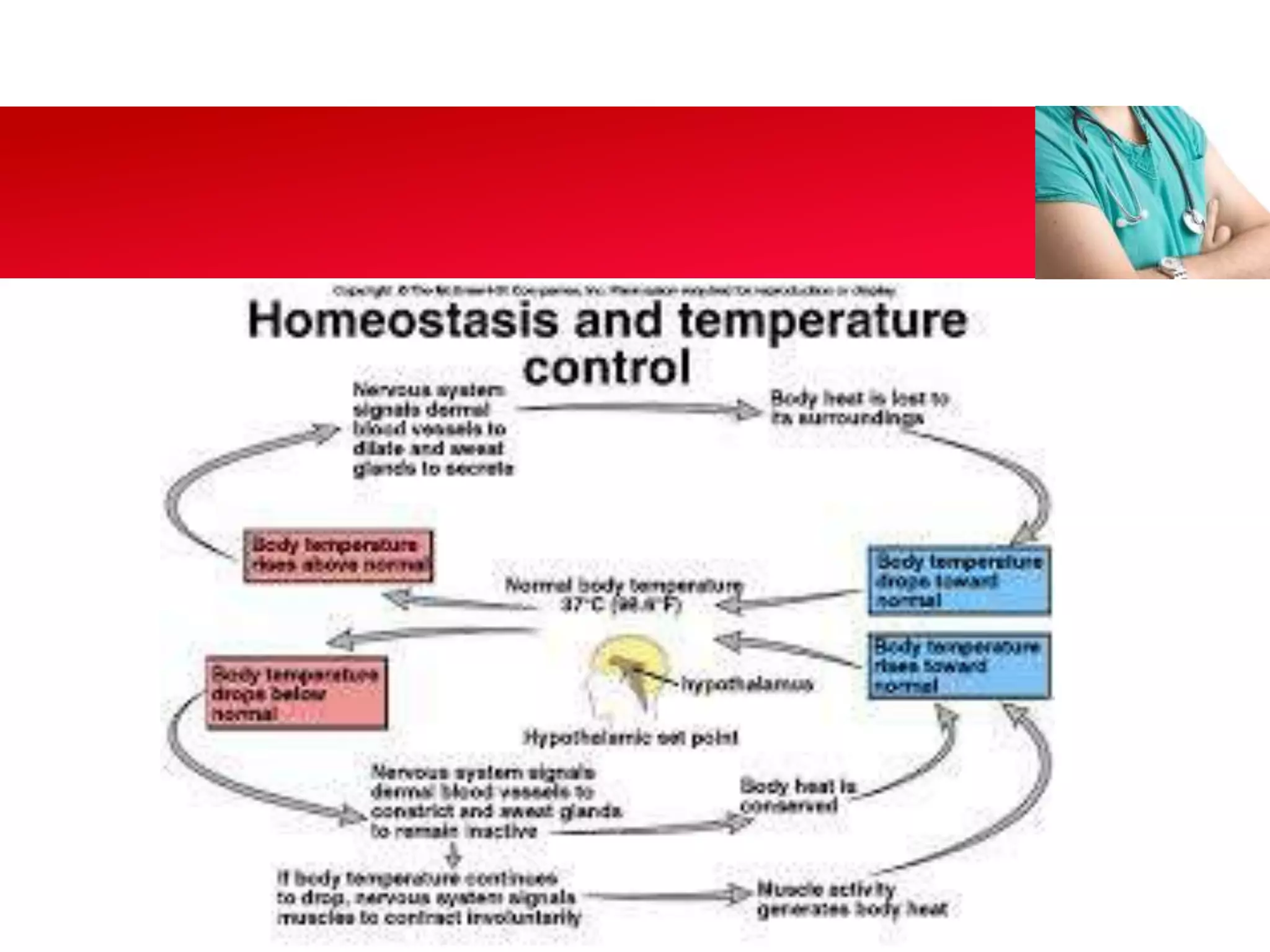 Homeostasis- Patho.pptx