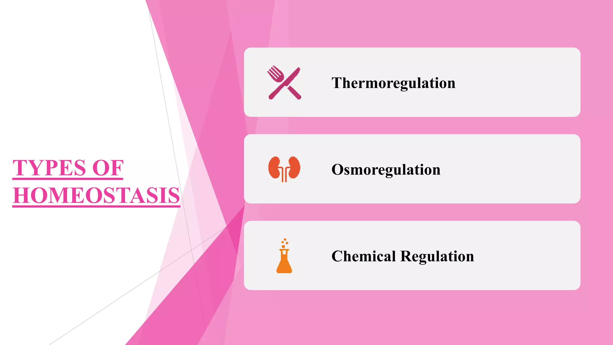 Homeostasis | PPT