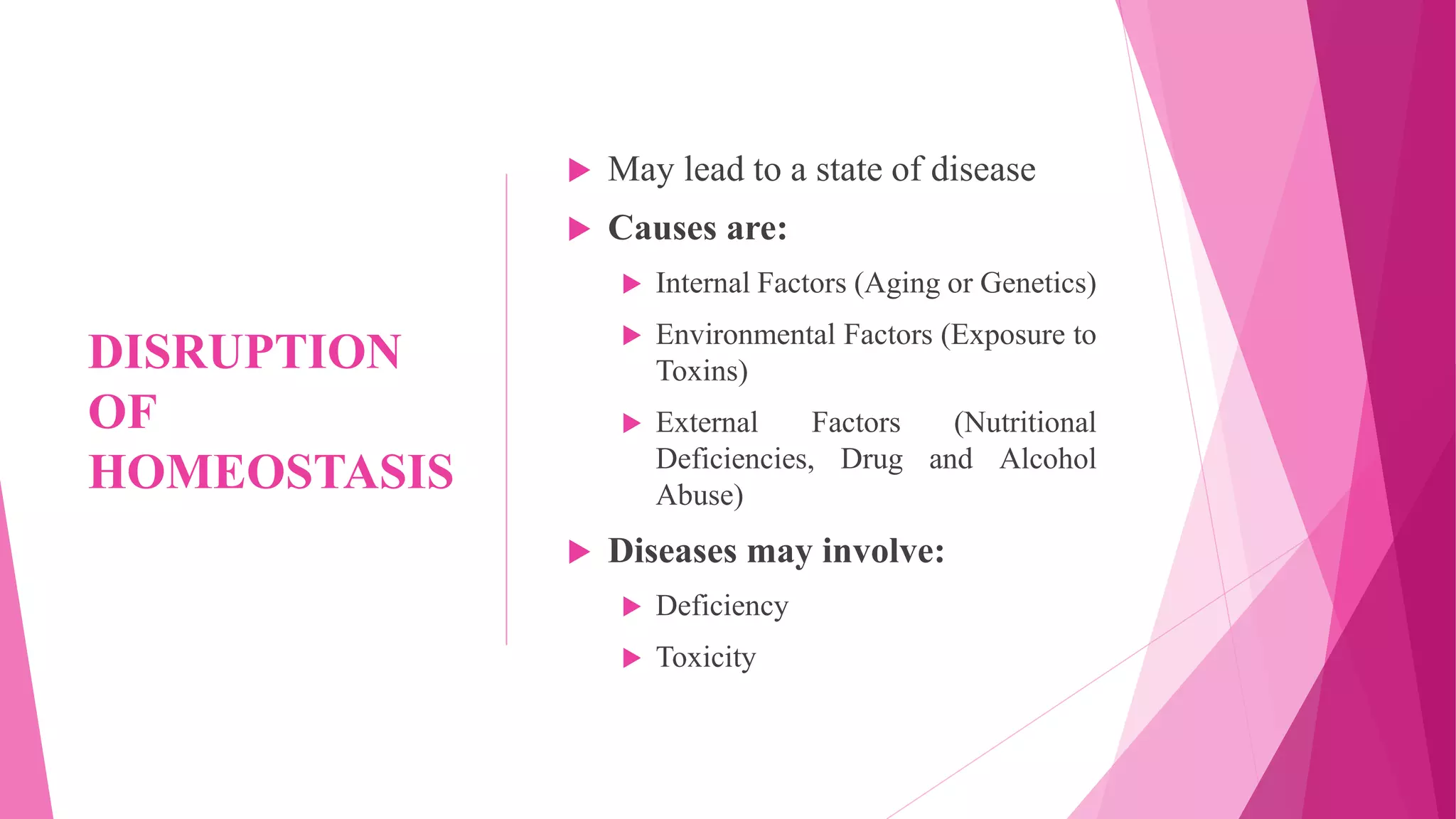 Homeostasis | PPT