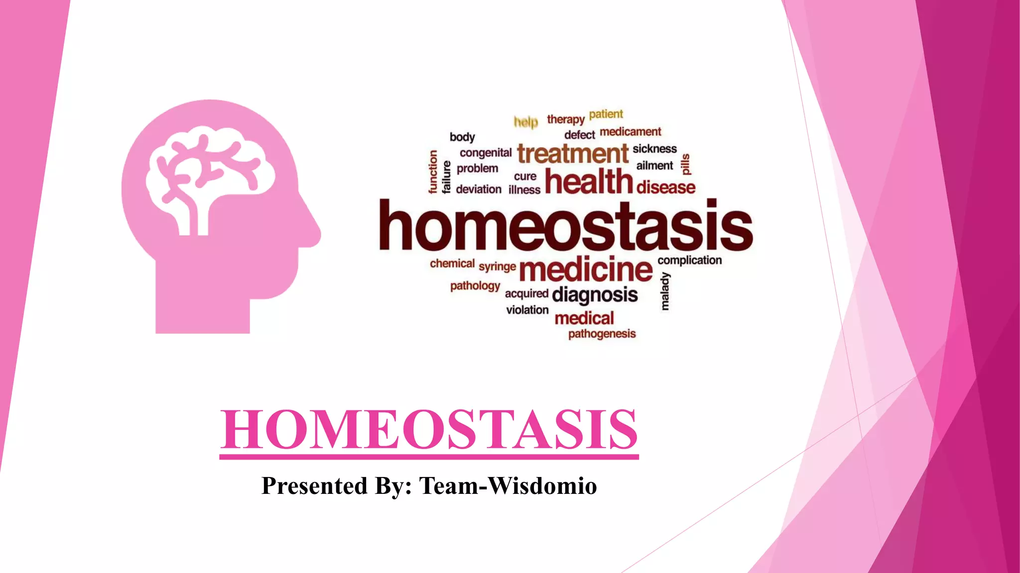 Homeostasis | PPT