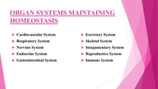 Homeostasis | PPT