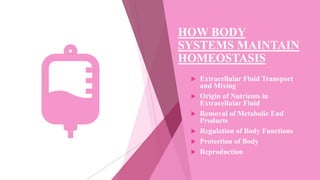 Homeostasis | PPT