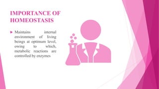 Homeostasis | PPT