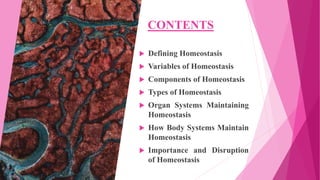 Homeostasis | PPT