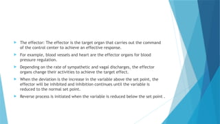 Homeostasis(0) physiology notes and anatomy.pptx