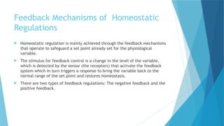 Homeostasis(0) physiology notes and anatomy.pptx