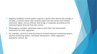 Homeostasis(0) physiology notes and anatomy.pptx