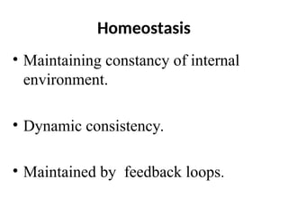 homeostasis 121.ppt powerpoint presentation | PPT