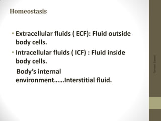 Homeostasis2013 ts for stds | PPT
