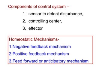 homeostasis basics in medical human physiology | PPTX
