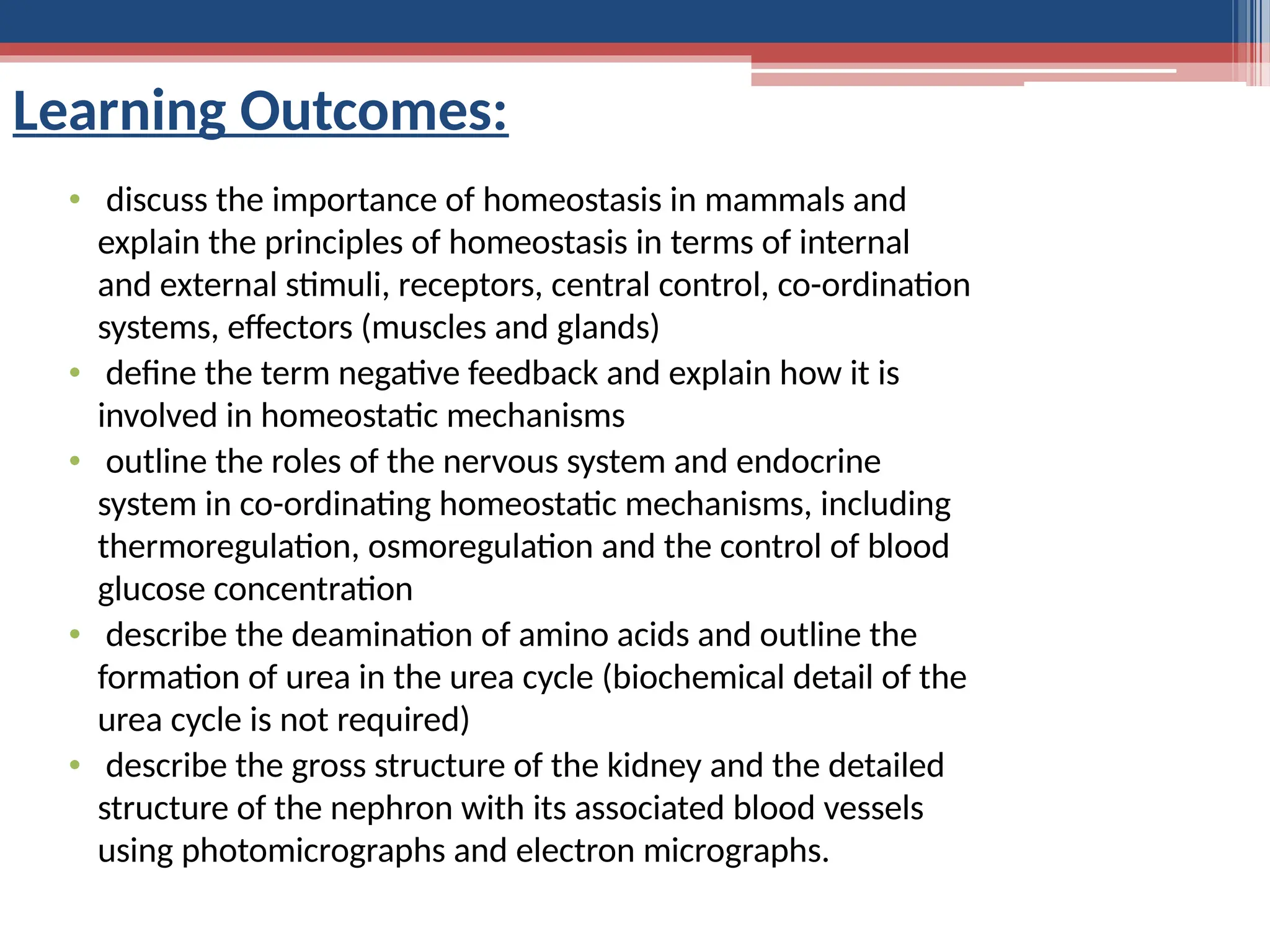 HOMEOSTASIS XXXXXXXXXXXXXXXXXXXXXXA2.pptx