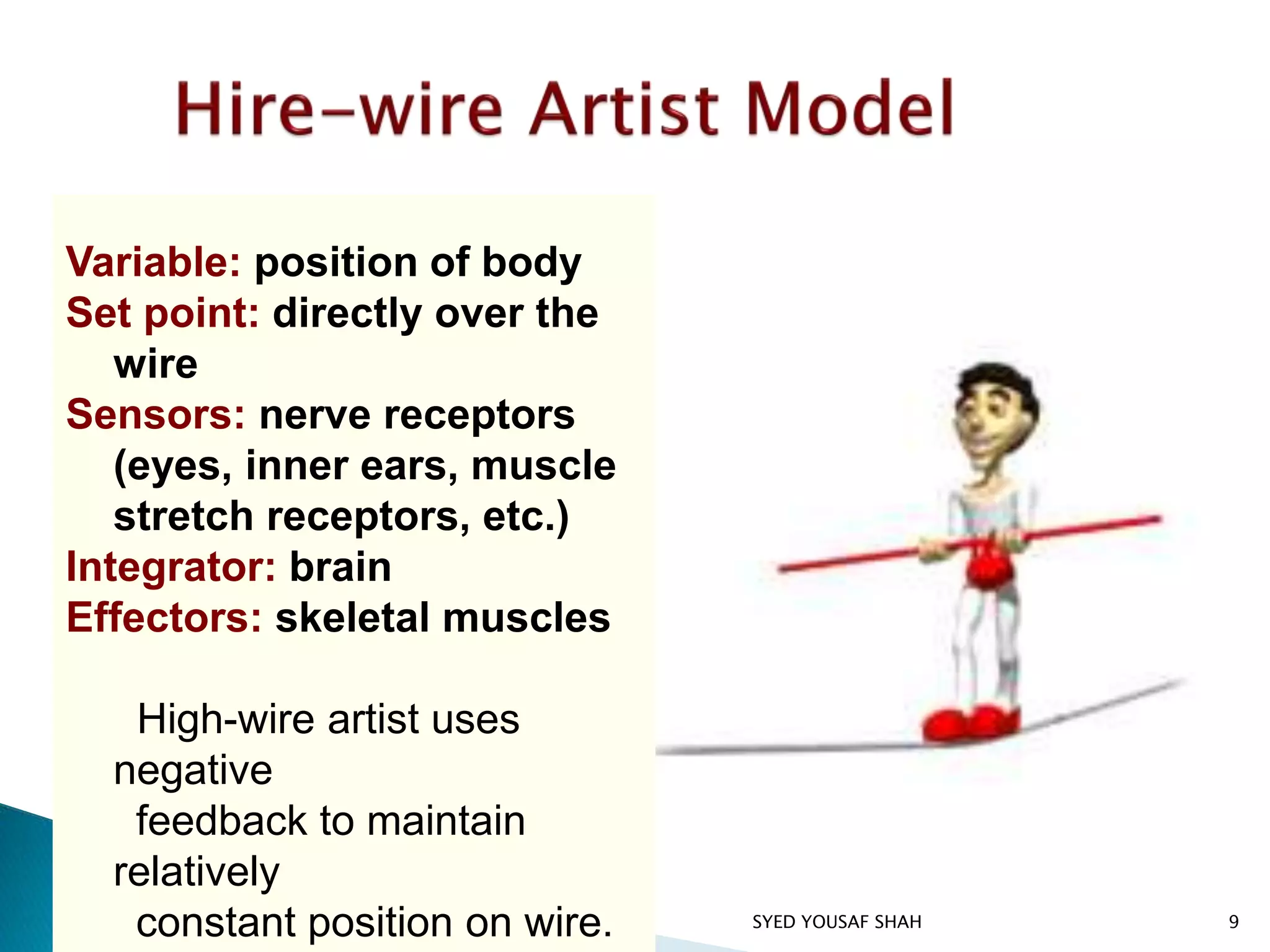 Homeostasis & adaptation | PPTX