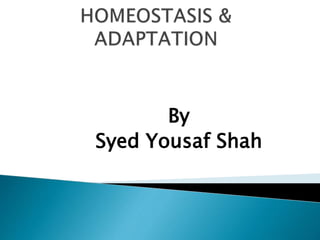 Homeostasis & adaptation | PPTX