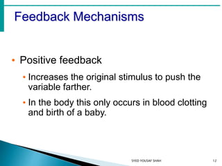 Homeostasis & adaptation | PPTX
