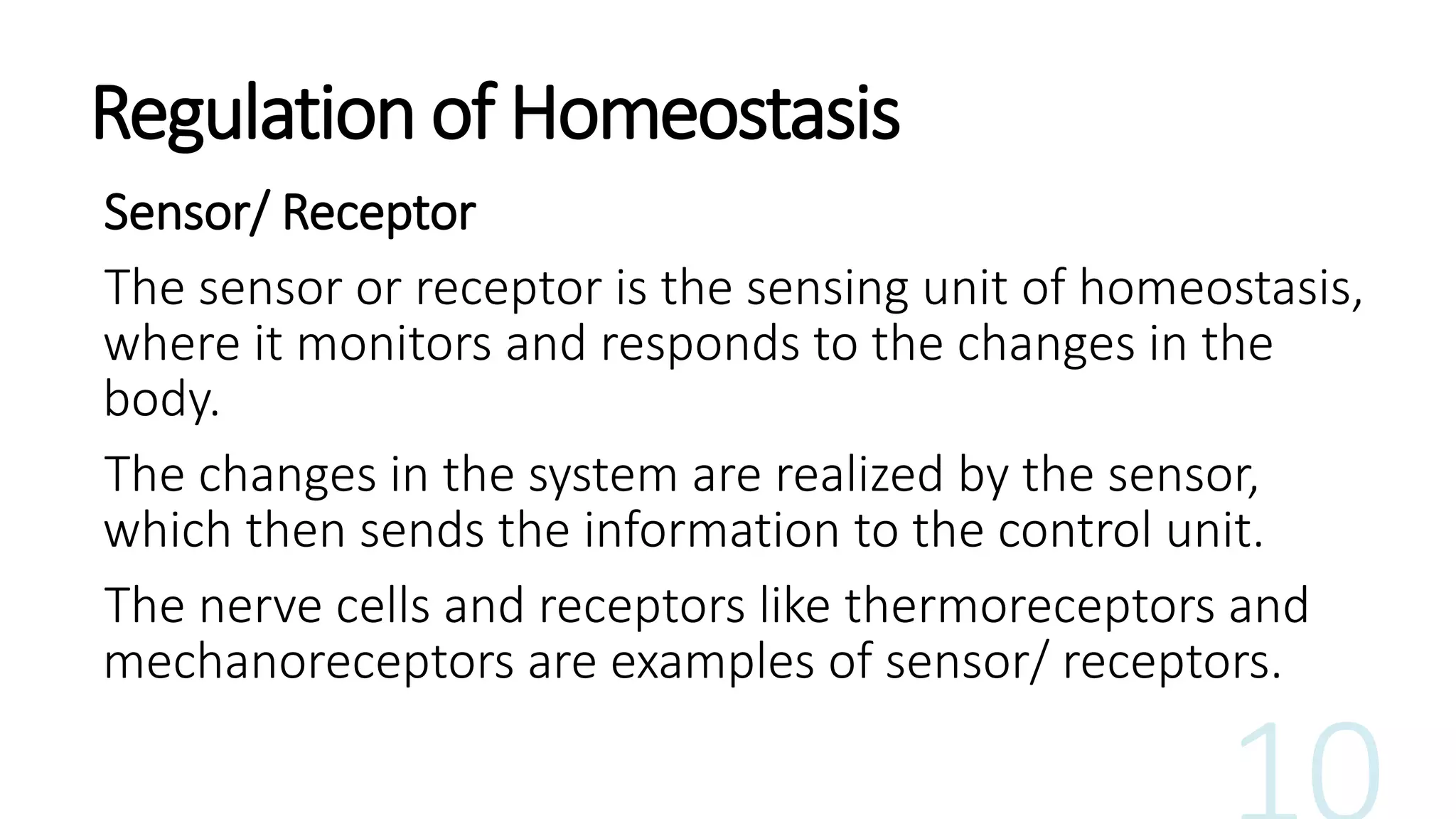 Homeostasis & Adaptation | PPTX
