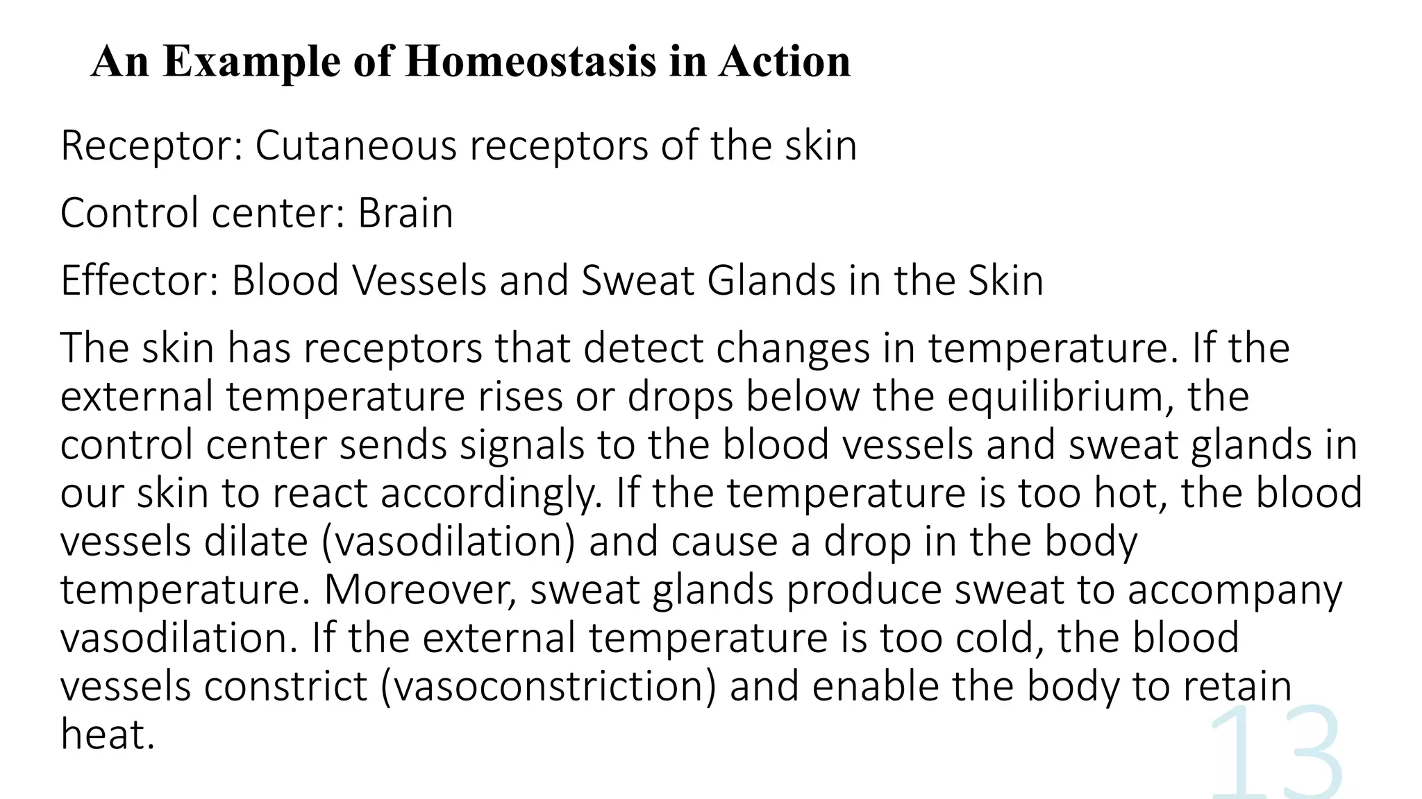 Homeostasis & Adaptation | PPTX