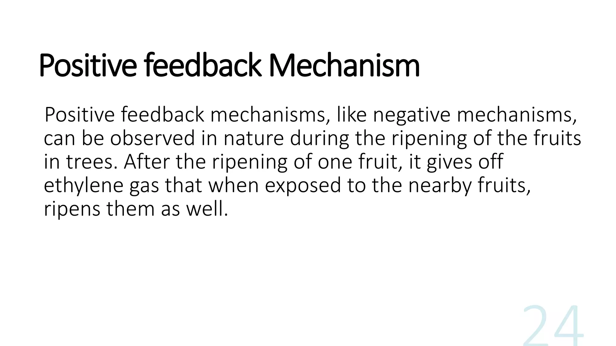Homeostasis & Adaptation | PPTX