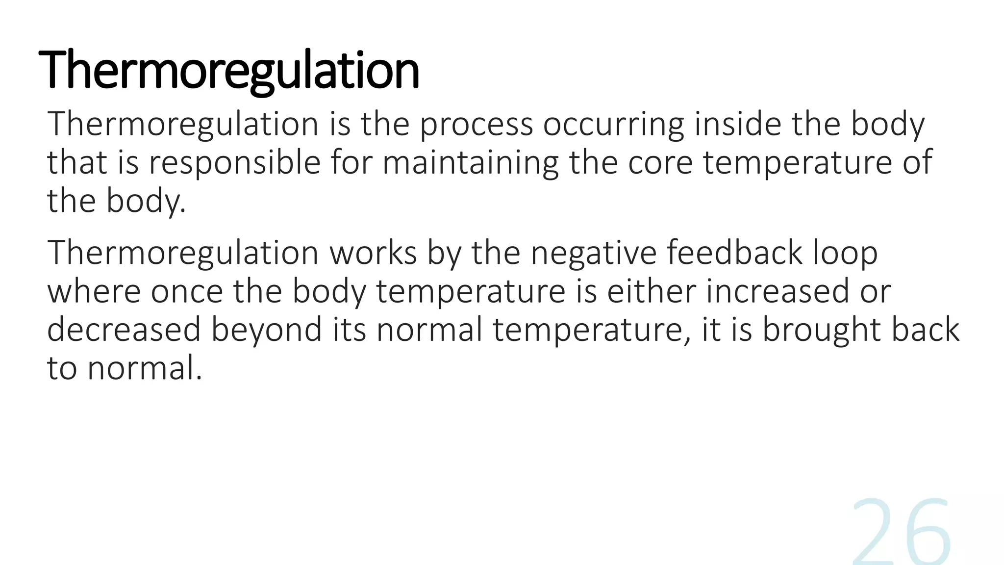 Homeostasis & Adaptation | PPTX