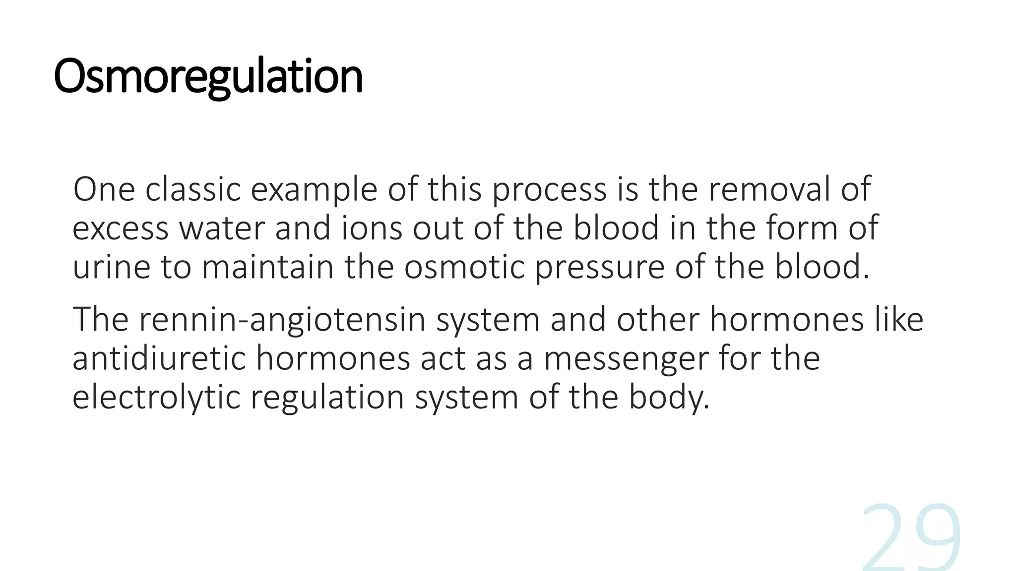 Homeostasis & Adaptation | PPTX