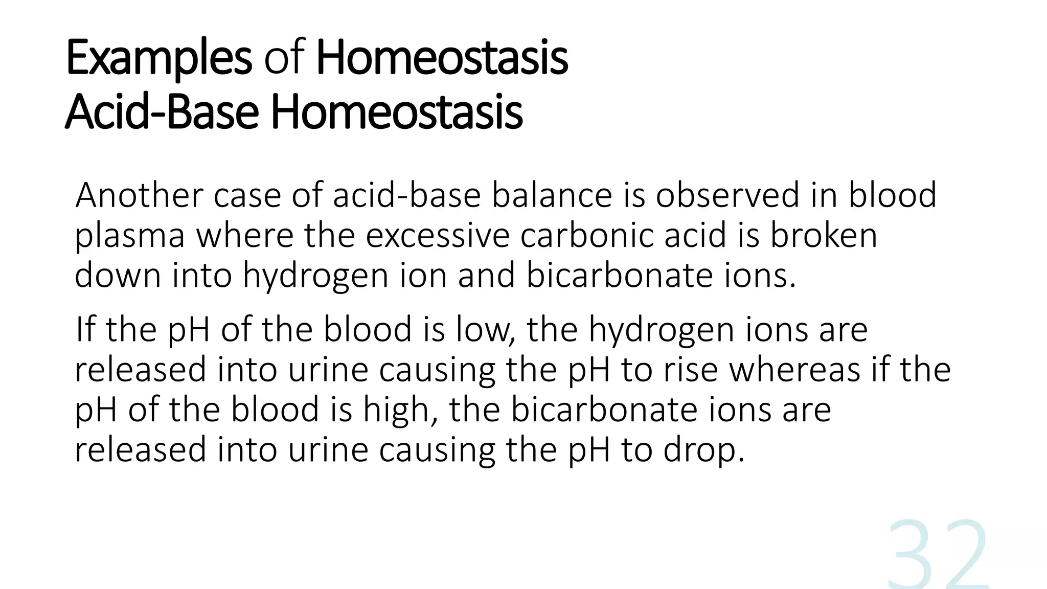 Homeostasis & Adaptation | PPTX