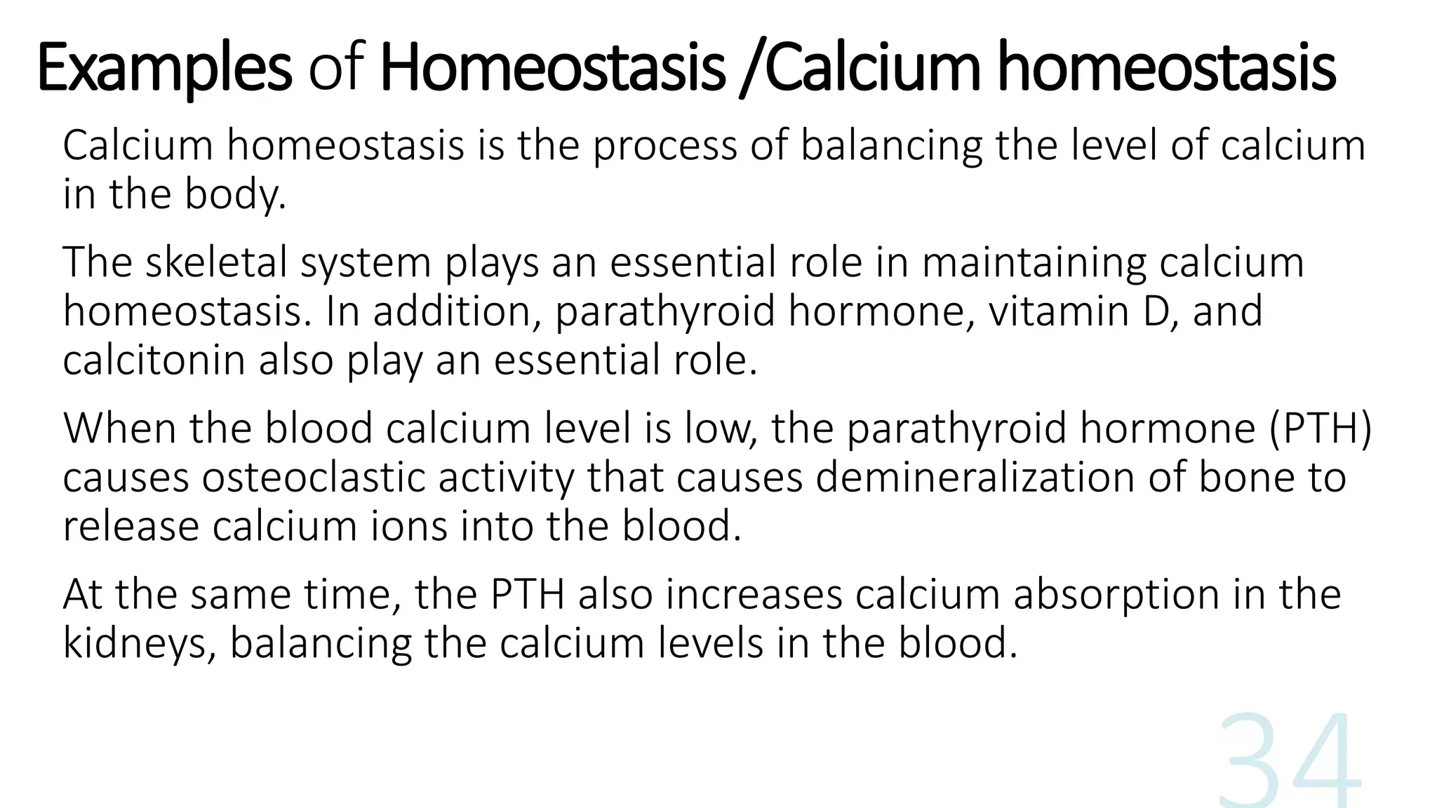 Homeostasis & Adaptation | PPTX