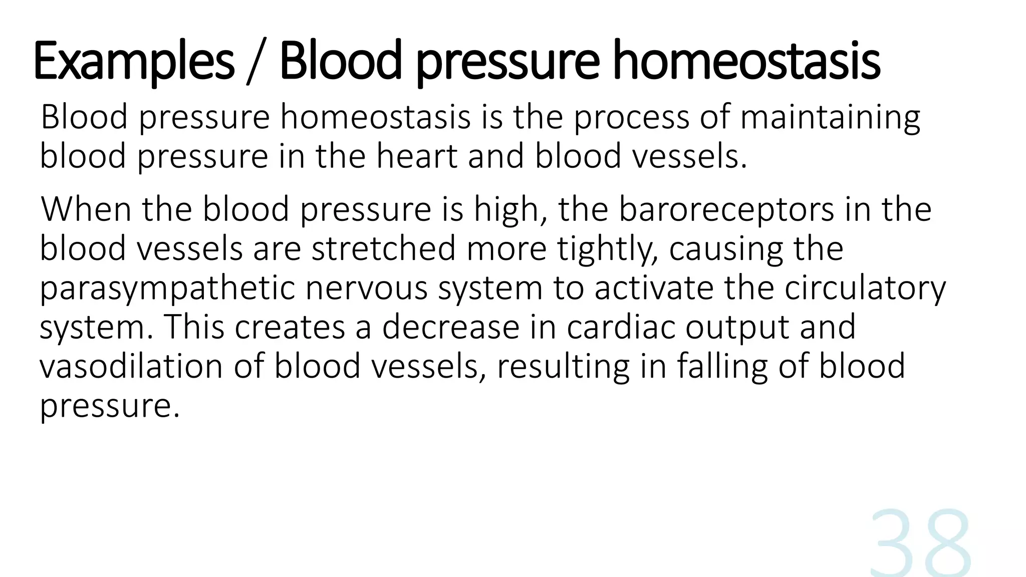 Homeostasis & Adaptation | PPTX