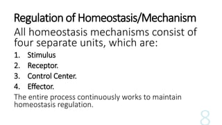 Homeostasis & Adaptation | PPTX