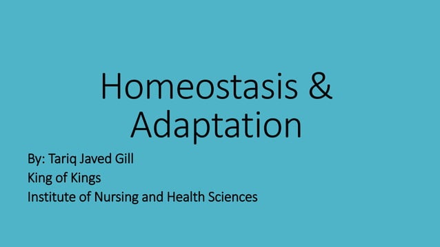 Homeostasis & Adaptation | PPT