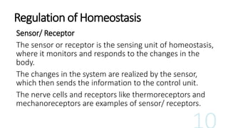 Homeostasis & Adaptation | PPT
