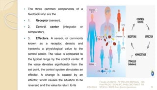homeostasis aftab jan mengal AINHS nursing LECTURER.pptx