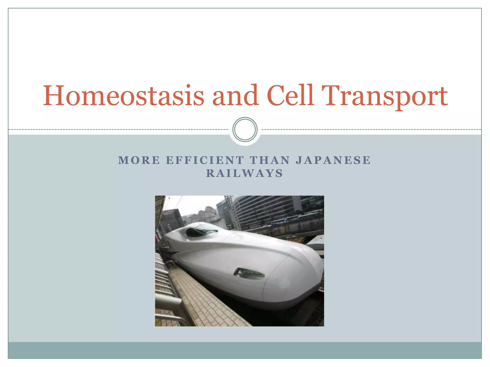 Homeostasis And Cell Transport | PPTX
