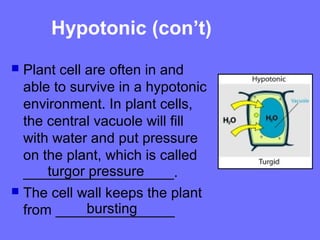 Homeostasis and cell transport academy | PPT | Gardening | Home & Garden