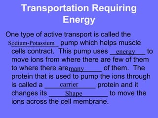 Homeostasis and cell transport academy | PPT
