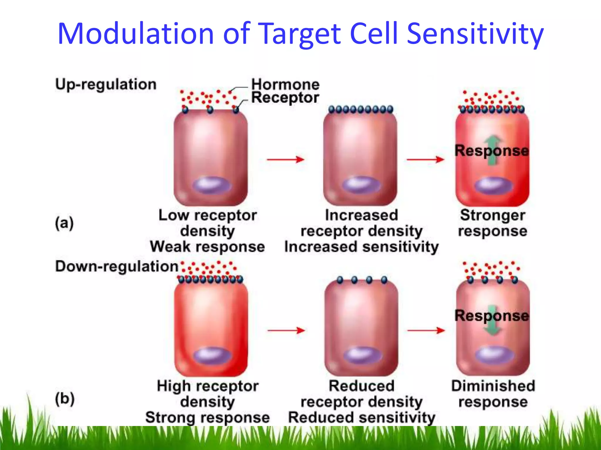 Homeostasis and disorders | PPTX
