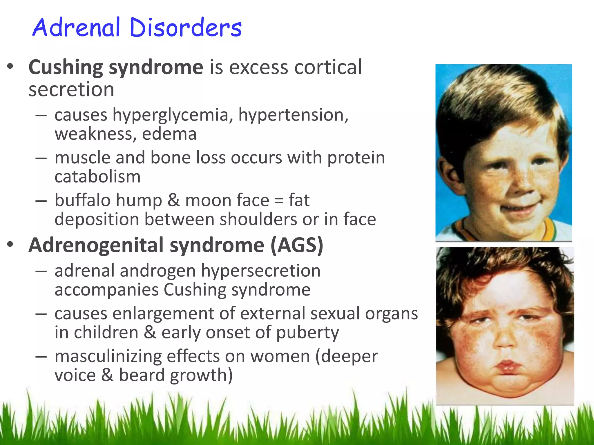 Homeostasis and disorders | PPTX
